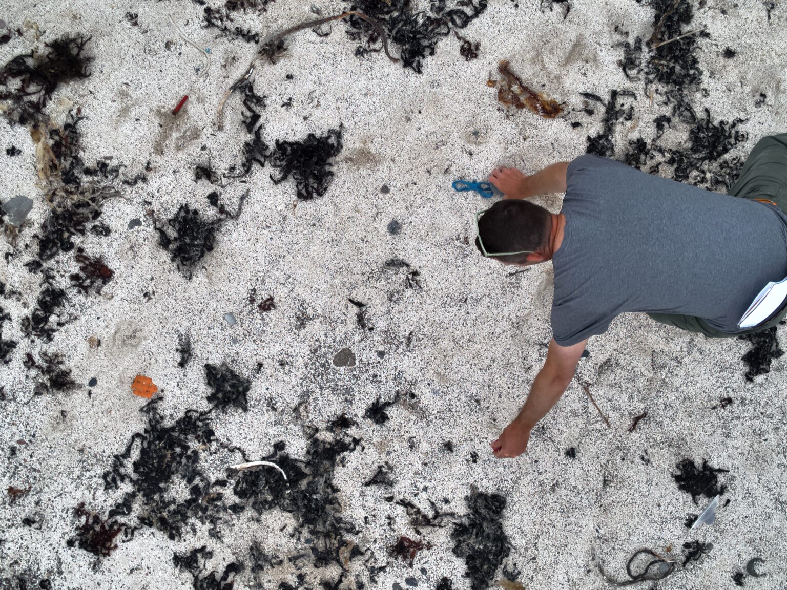 Resources – EO Lab Aotearoa